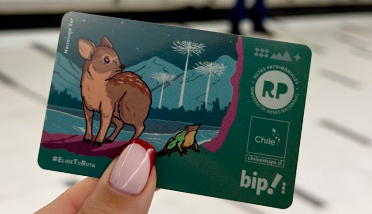 El capibara chileno: la conquista del pudú a través de memes – Cooler